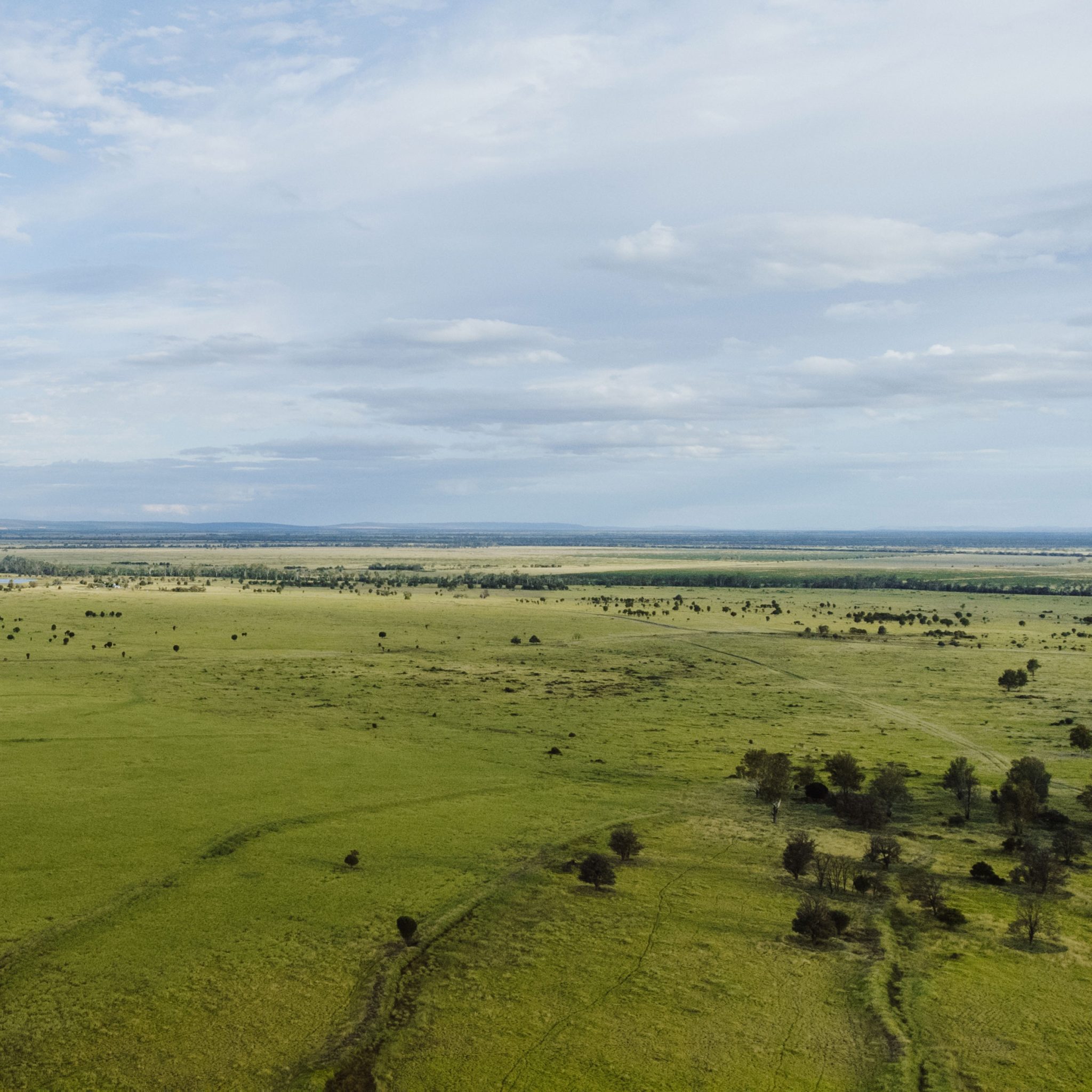 Home - Organic Rancher
